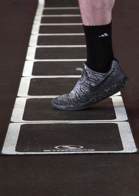 Stroops | Roll Out Ladder