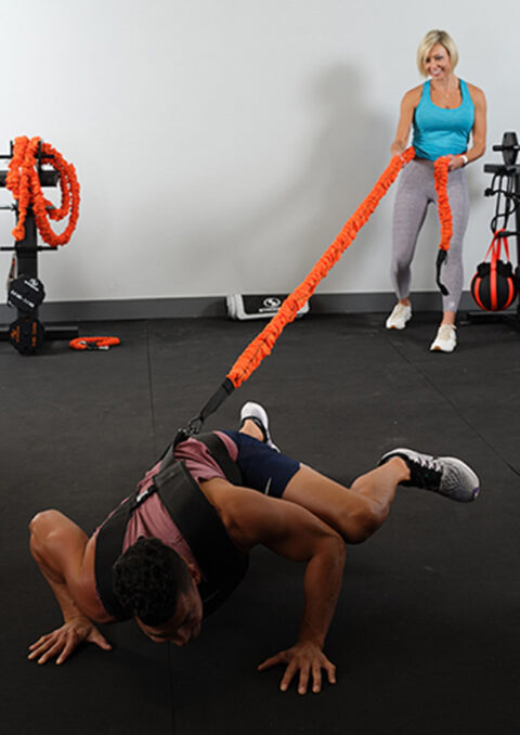 Stroops | Shoulder Harness